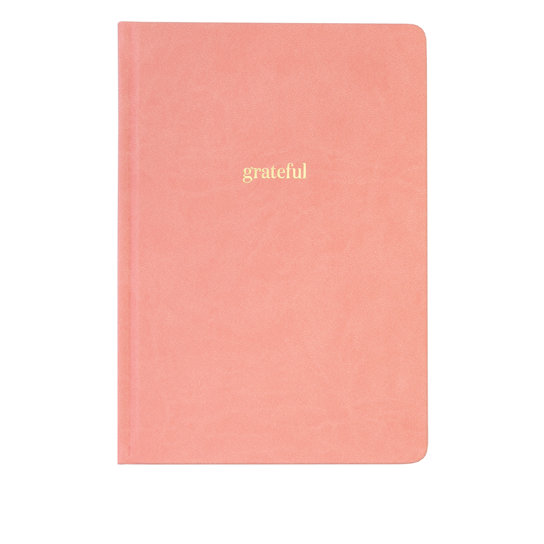 Gratitude Journal – Ink+Volt
